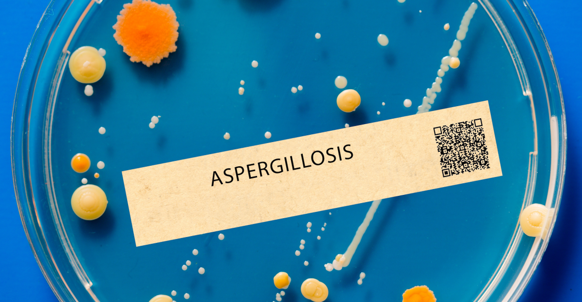 Was ist Aspergillose? | Mehr Luft